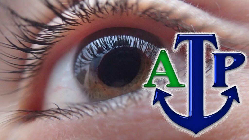 Eye Implant Conformer Georgetown - Prosthetic Eye Supply