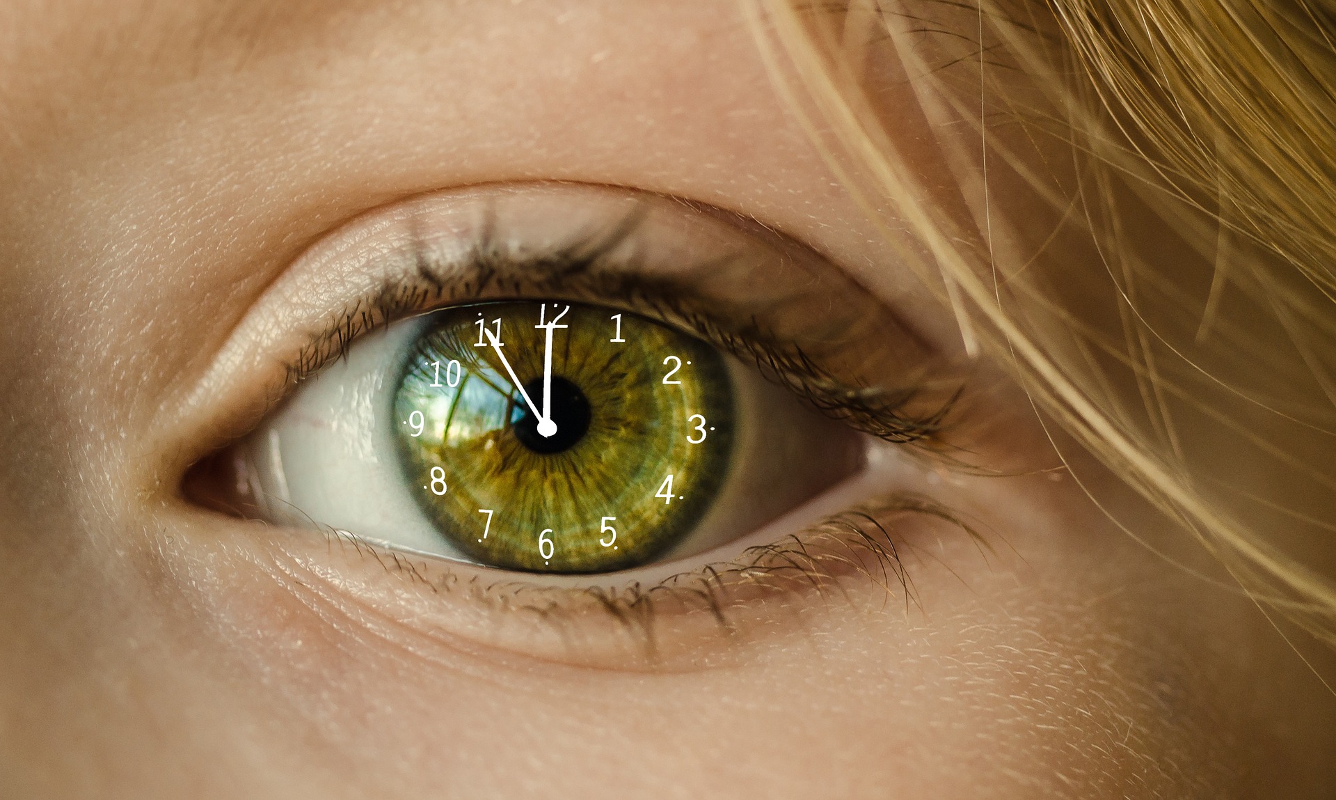 Eye Implant Conformer Palm Coast Prosthetic Eye Supply
